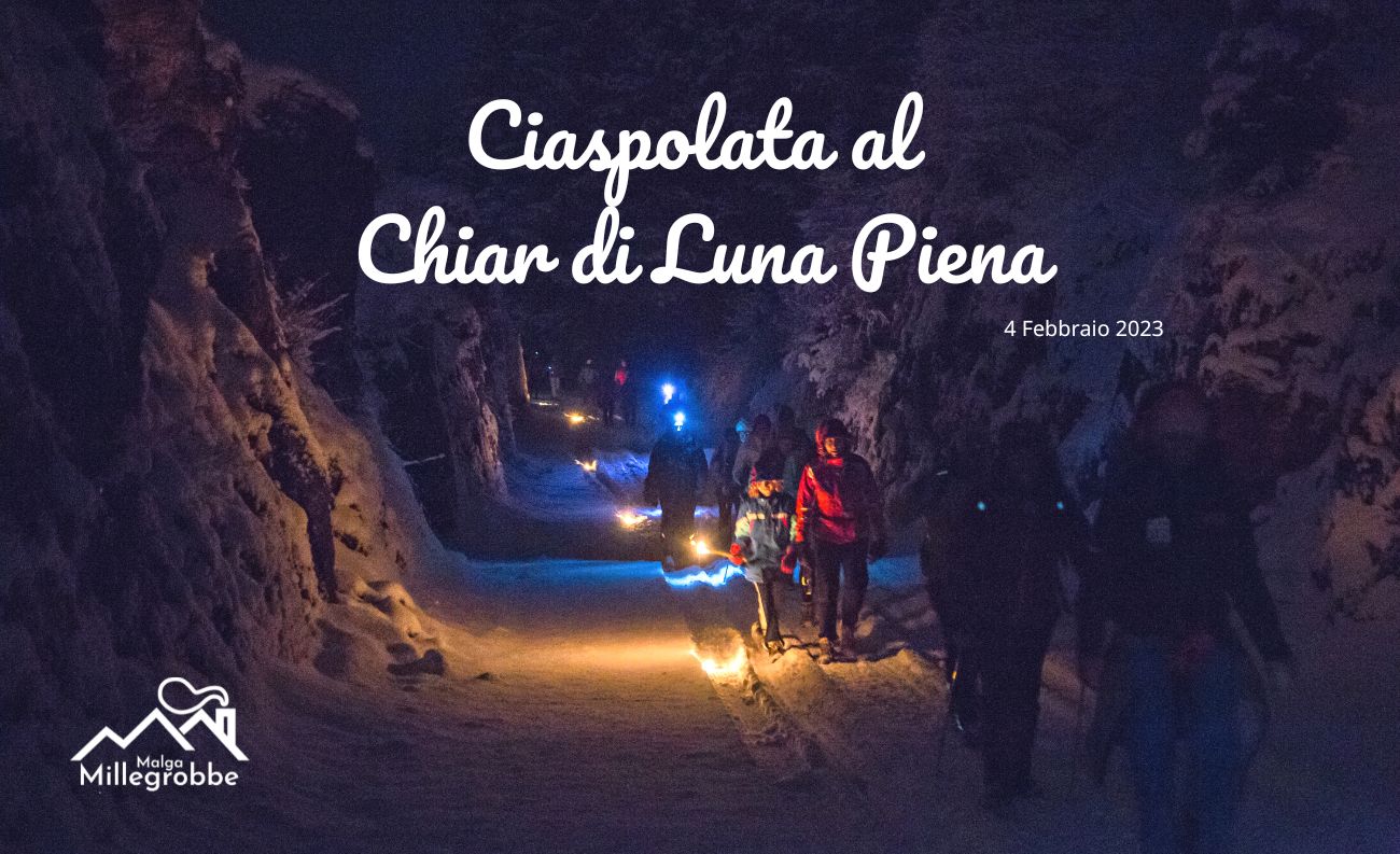 Ciaspolata al Chiar di Luna Piena - Malga Millegrobbe - Ristorante ...